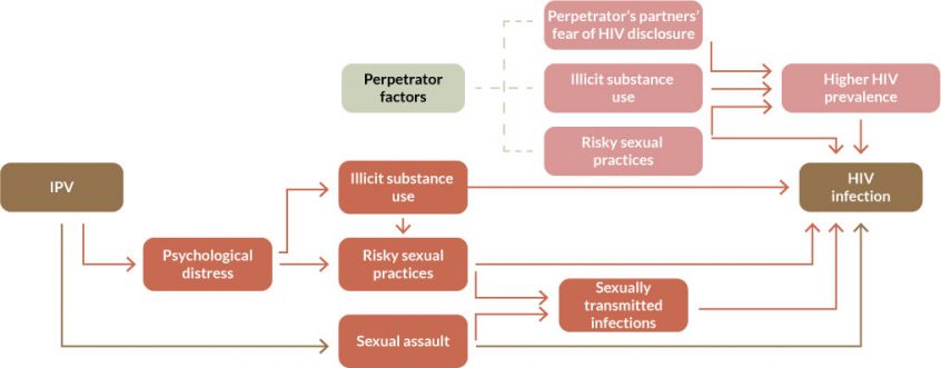 Alternate description of Pathways from IPV to HIV – The Ontario HIV ...